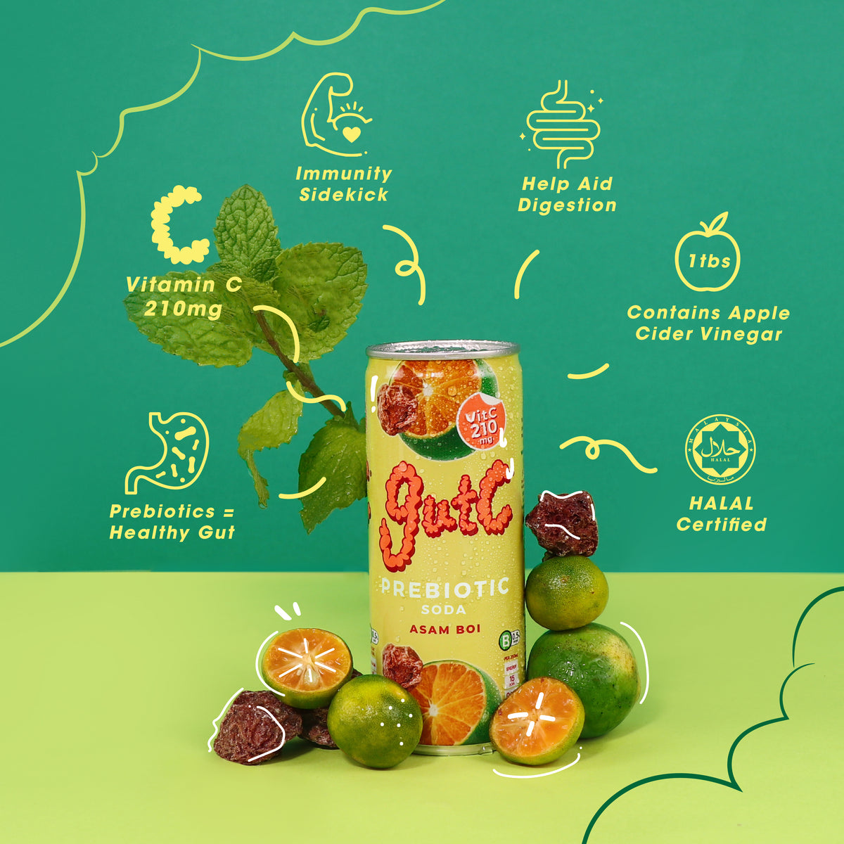 gutC Asam Boi (12 x 250ml) – The Tapping Tapir Sdn Bhd