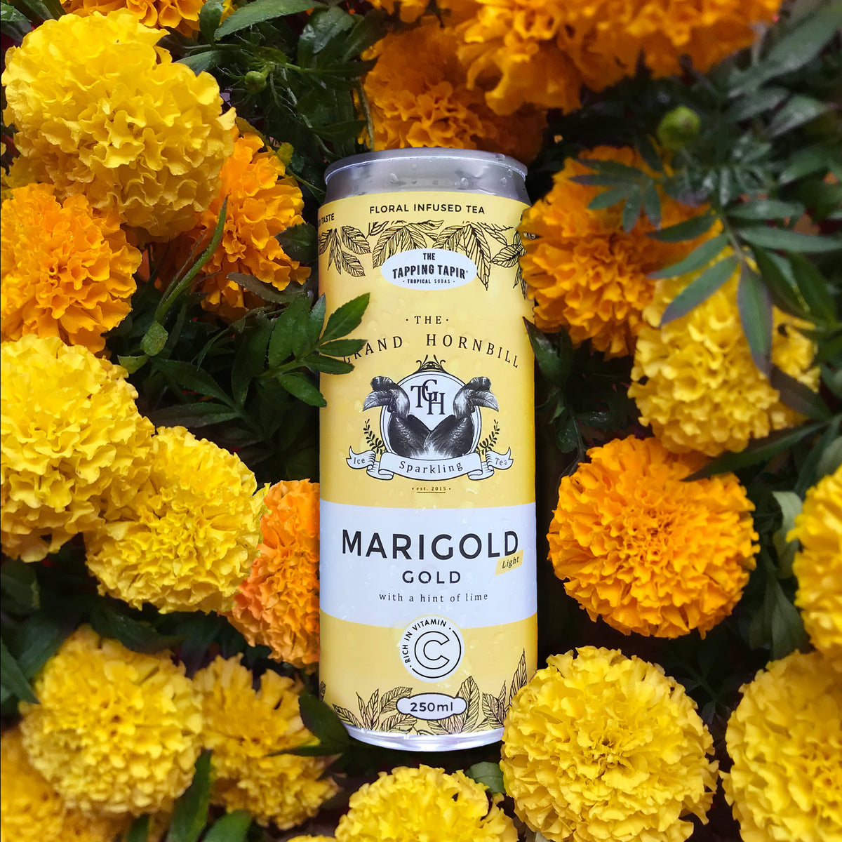 Marigold Gold Light – The Tapping Tapir Sdn Bhd